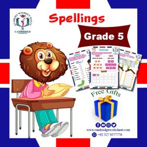 (Grade 5) Reading Comprehension Pack - Cambridge Work Sheets