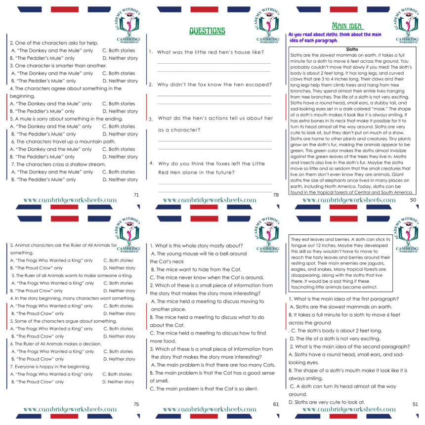 Reading Comprehension Pack (Grade 4) - Cambridge Work Sheets